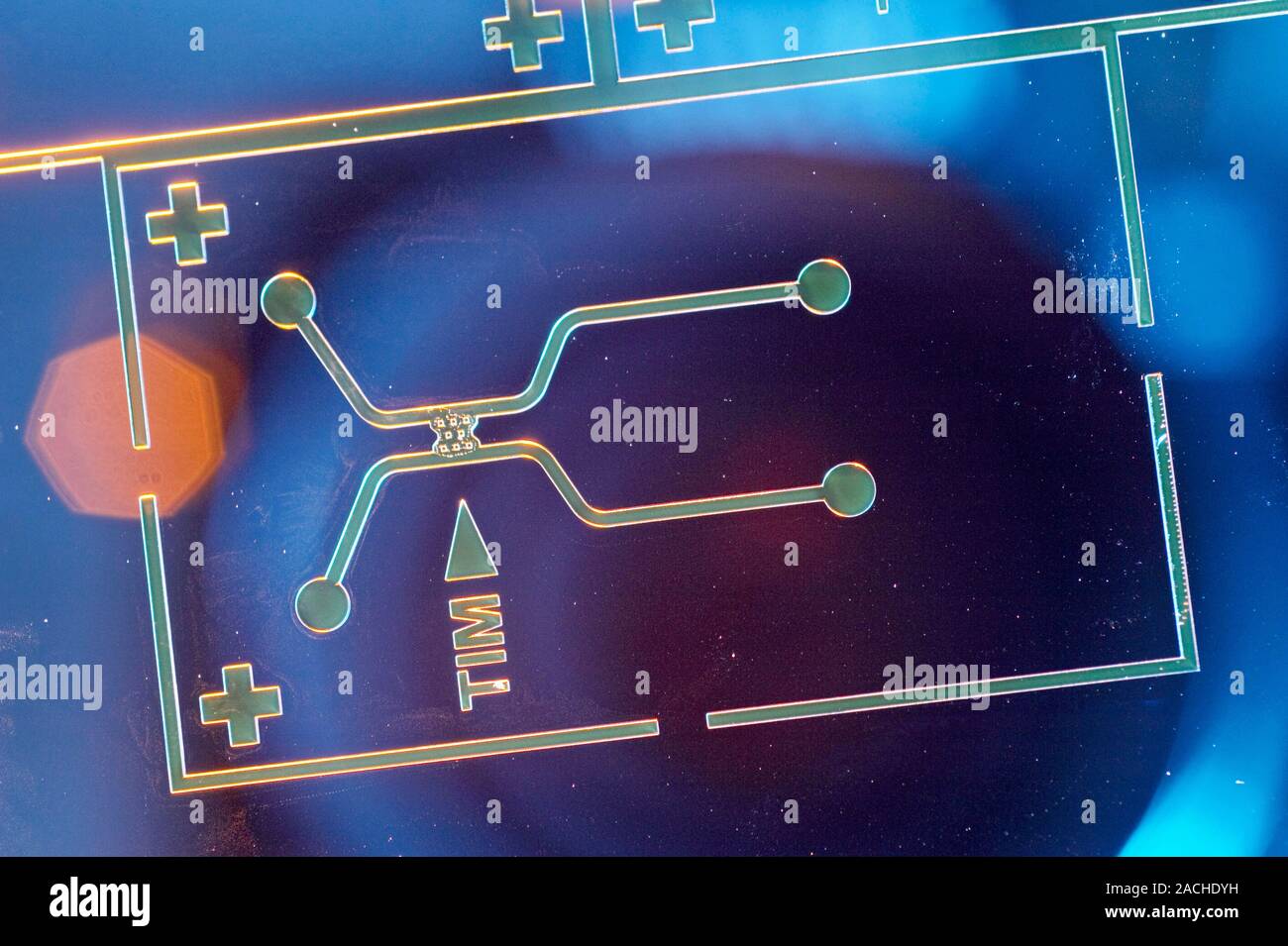 Lab-on-a-chip. Close up light micrograph of a silicon lab-on-a-chip ...