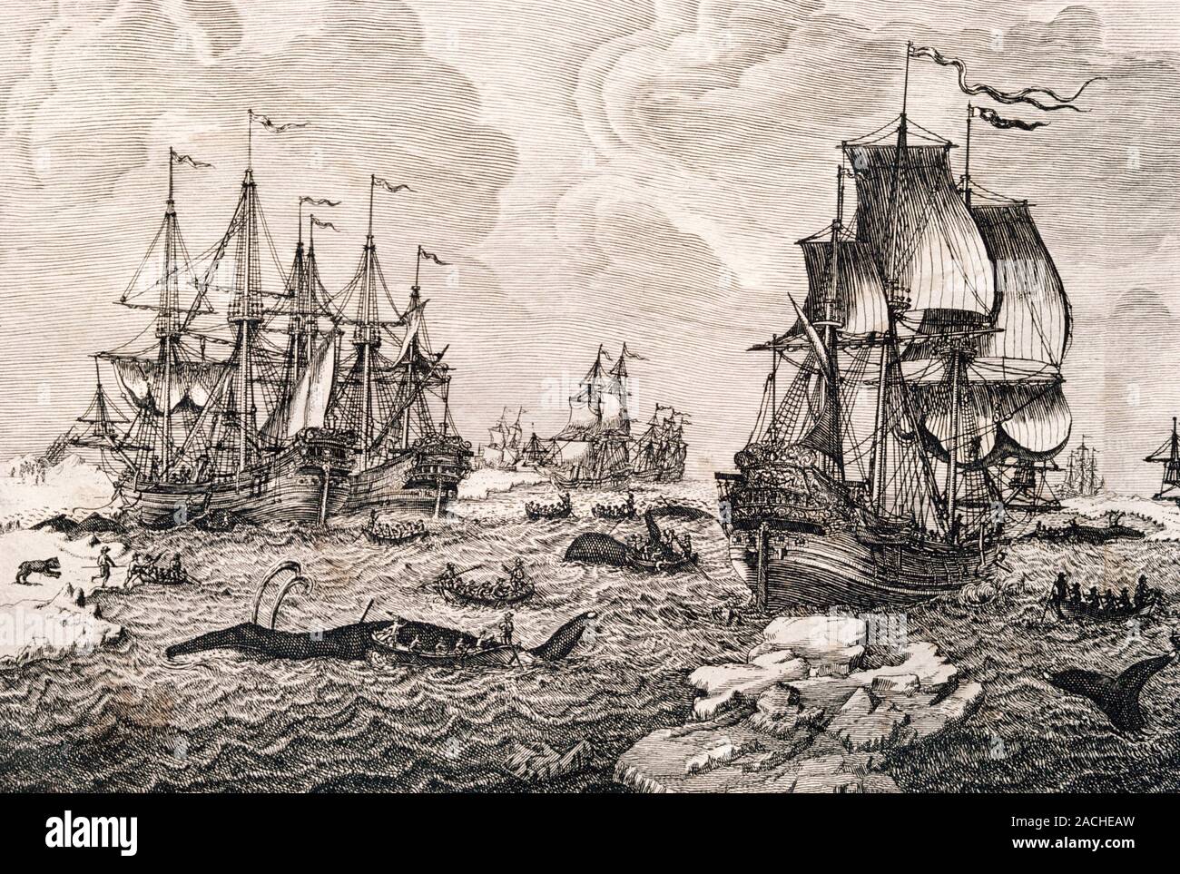 Dutch whaling fleet. Artwork of a fleet of Dutch whaling ships in the ...