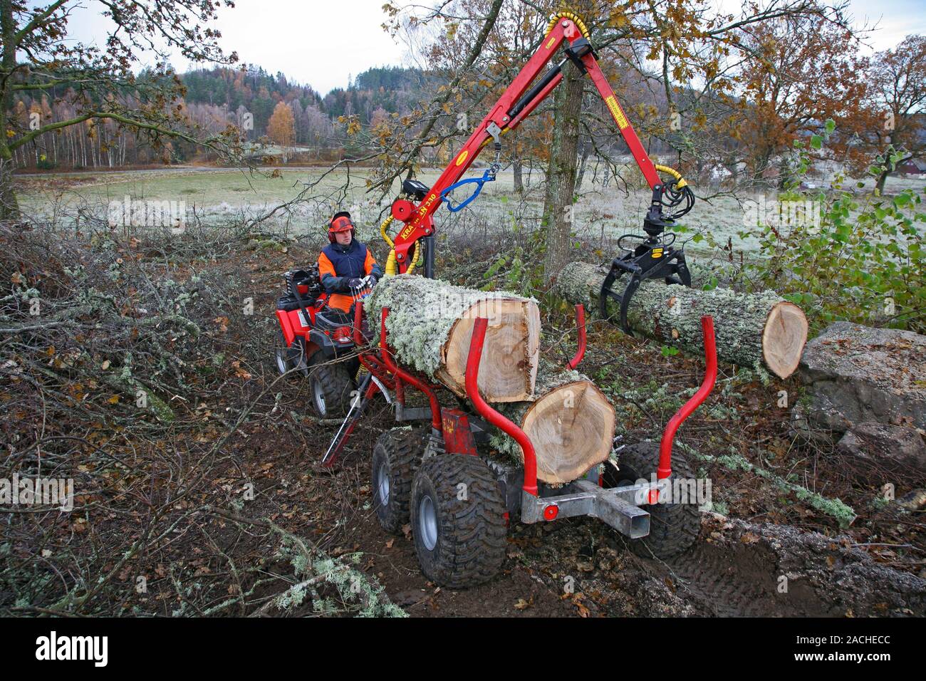 Tree surgeon. Arborist using a small crane, grapple and trailer to ...