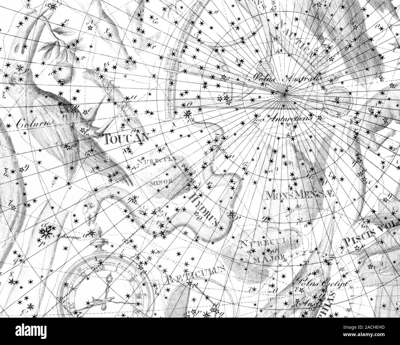 Uranographia constellations. This close-up of an area near the South ...