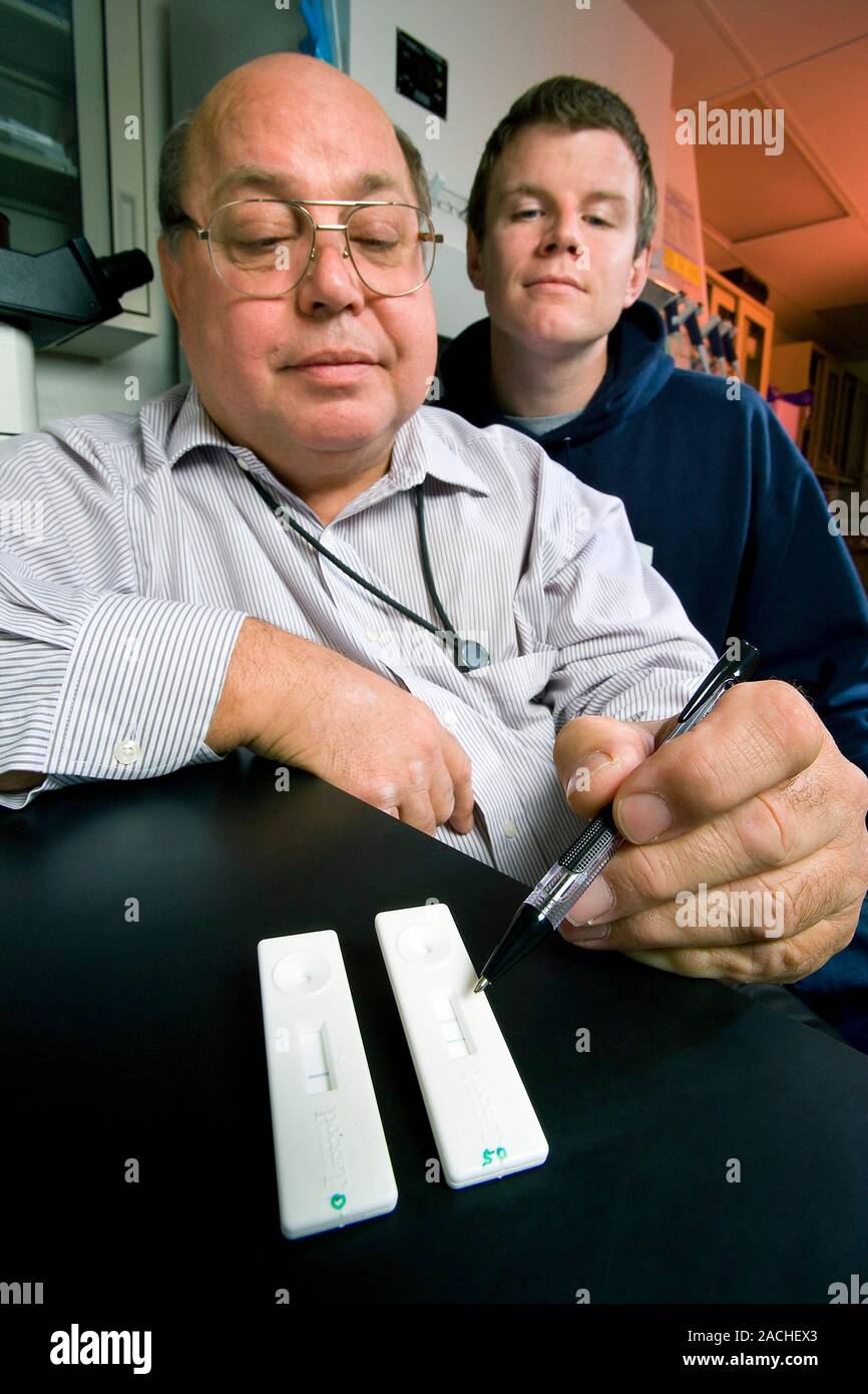 Botulinum toxin test. Scientists using a test to detect the presence of ...