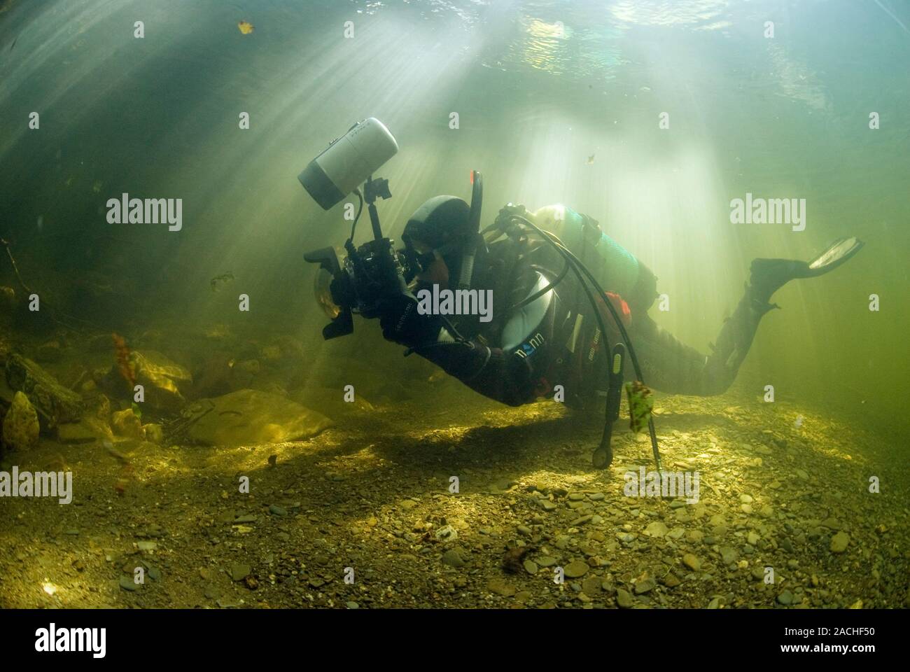Underwater photographer. Photographed in the River Cothi ...