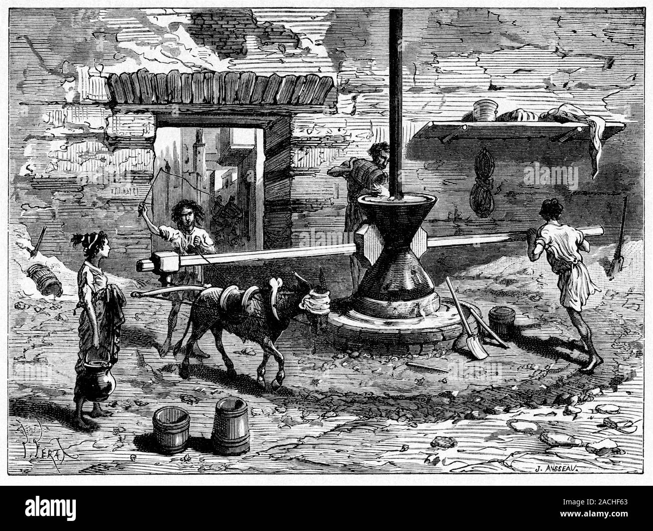 Milling flour. Artwork of a donkey and slaves working a millstone to ...