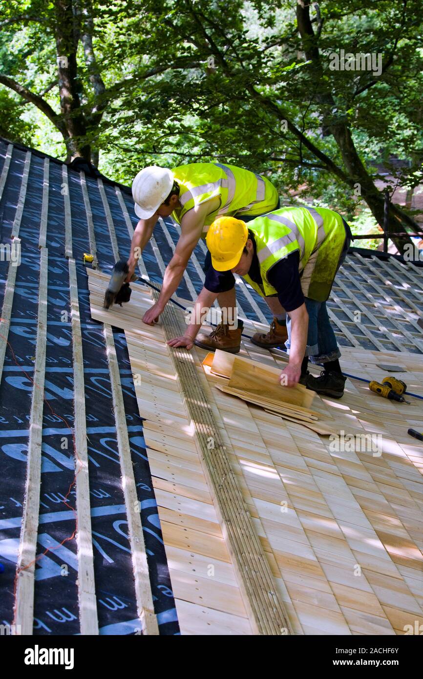 Treehouse Study Centre being constructed. This building was constructed ...