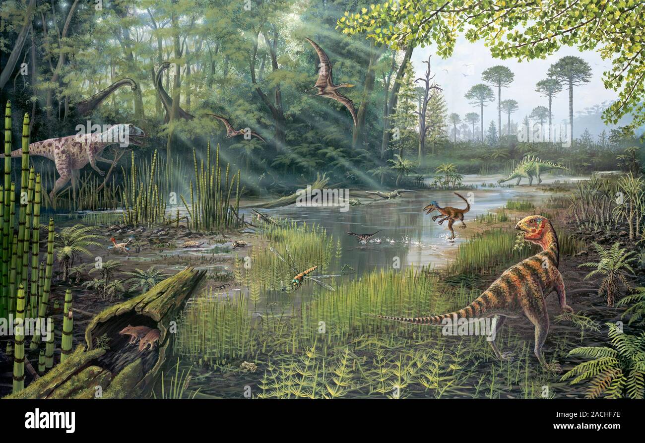Jurassic life. Artwork of a forest full of prehistoric creatures that ...