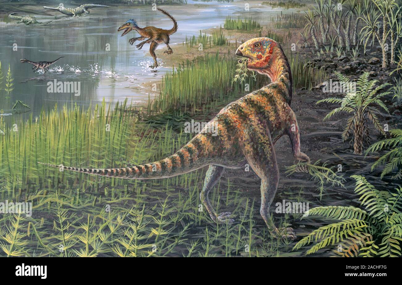 Jurassic life. Artwork of a forest with prehistoric creatures that ...