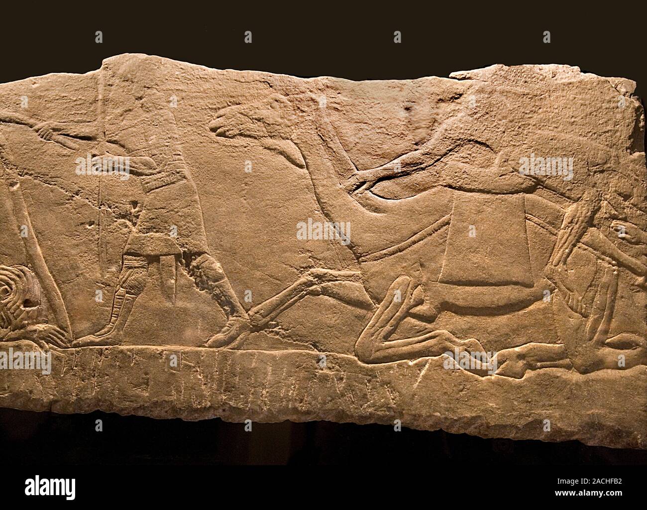 Assyrian soldier mounted on a dromedary.To the left a foot soldier sets ...