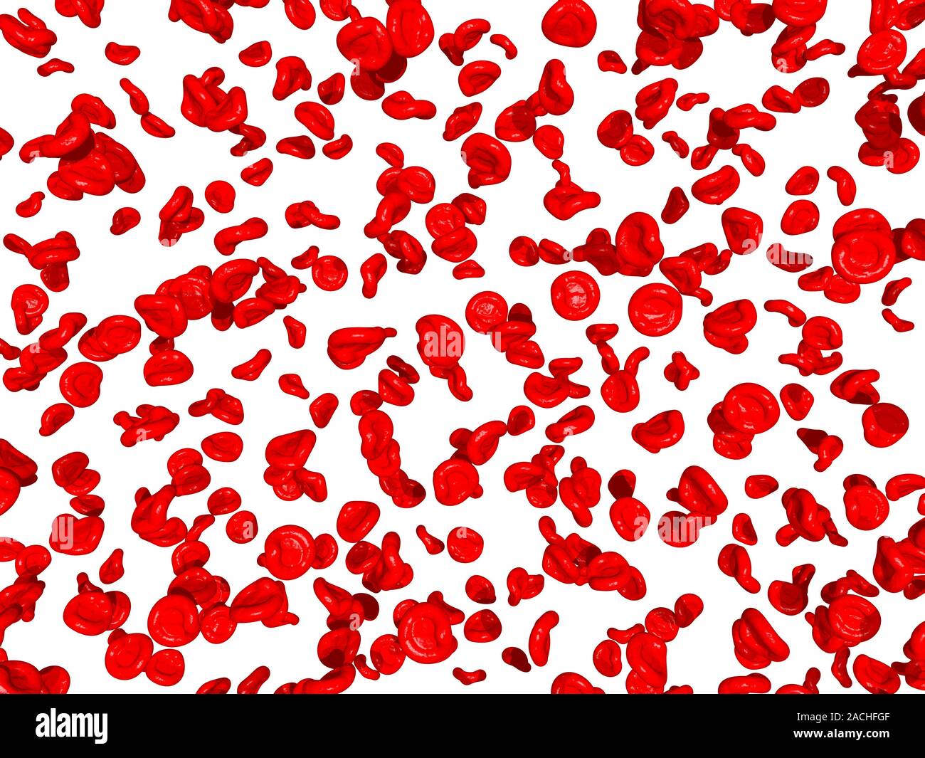 Red blood cells, computer artwork Stock Photo - Alamy