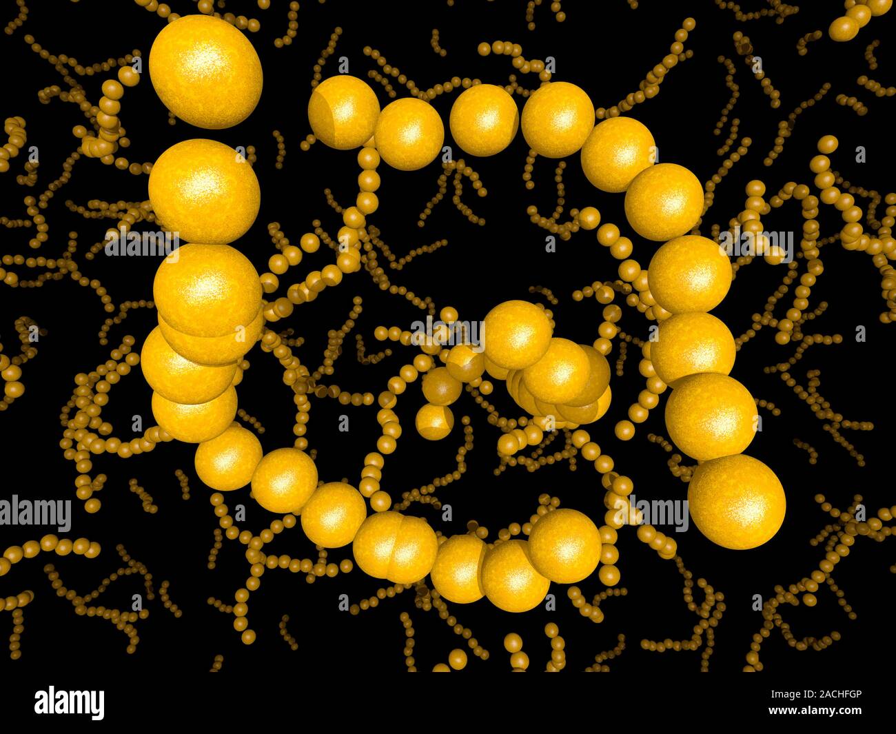 Streptococcus bacteria, computer artwork. Streptococcus is a an oval ...
