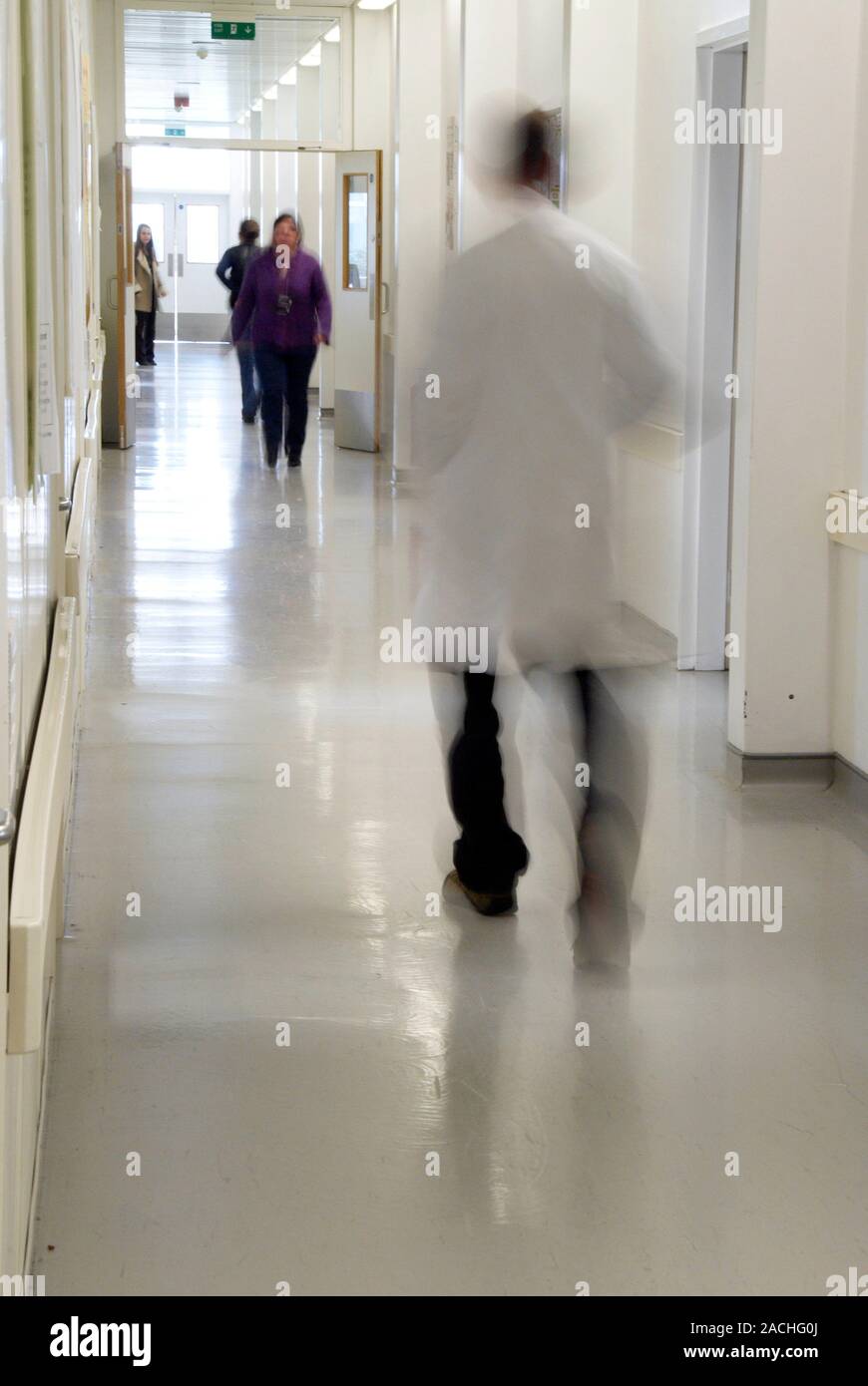 Laboratory corridor. People walking down a corridor in a lab Stock ...