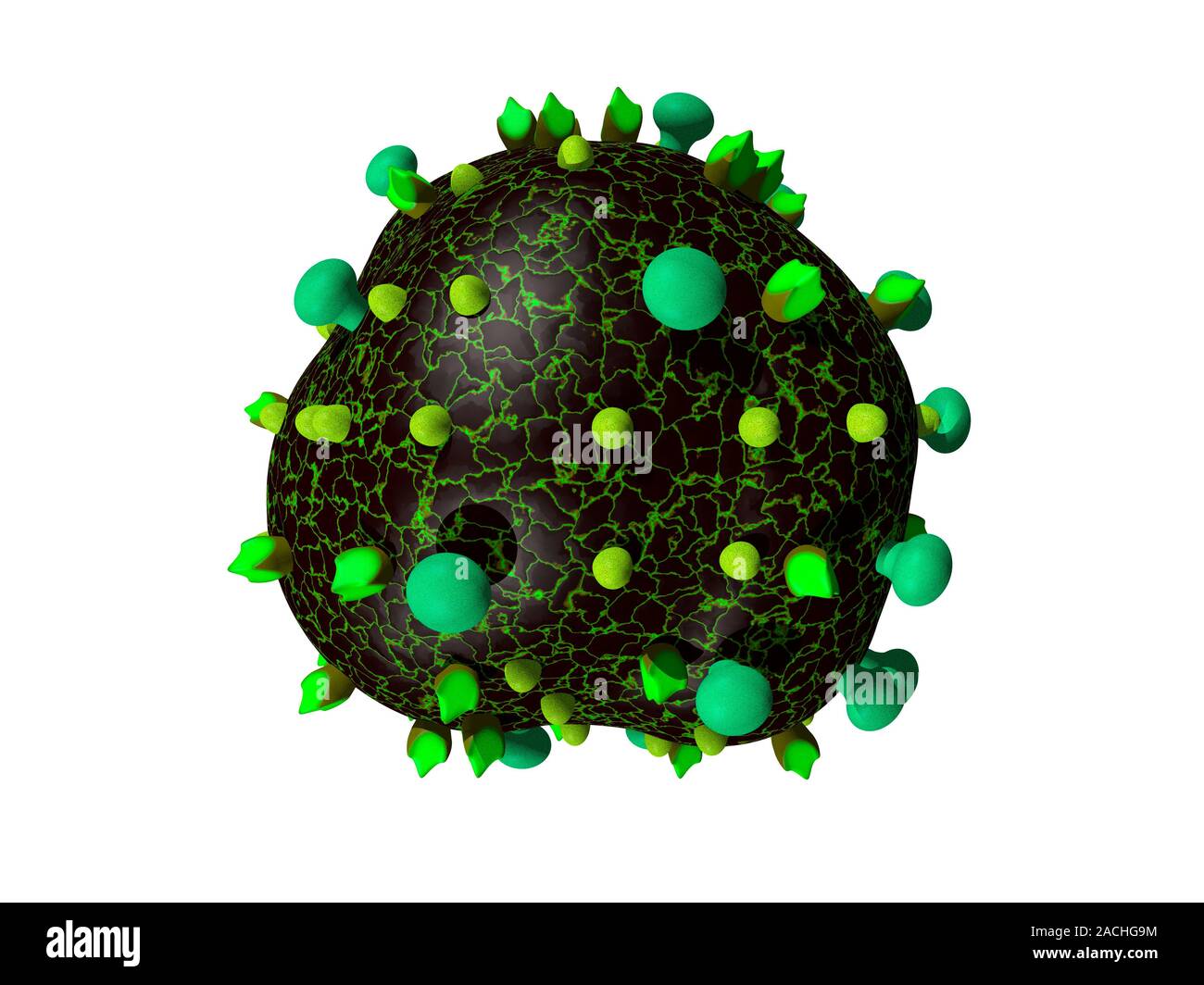 Flu virus particle. Computer artwork of an influenza (flu) A virus ...