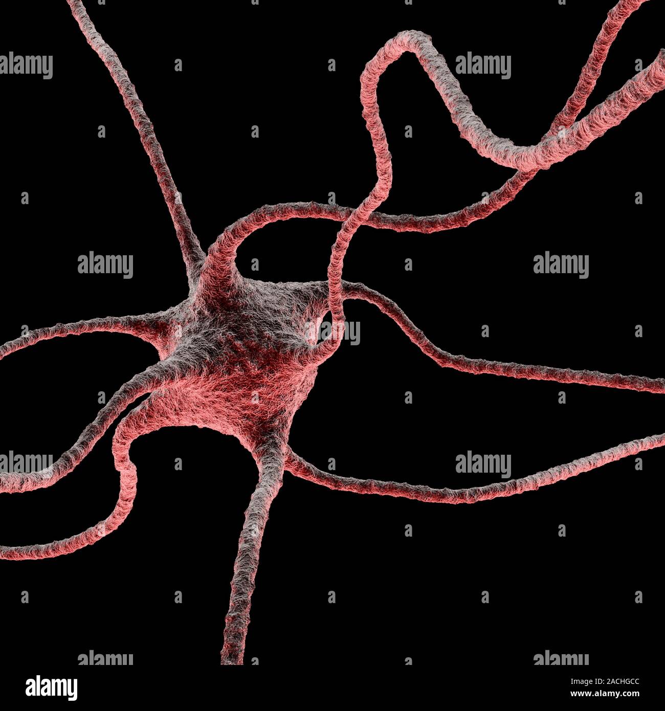 Nerve cell, artwork Stock Photo - Alamy