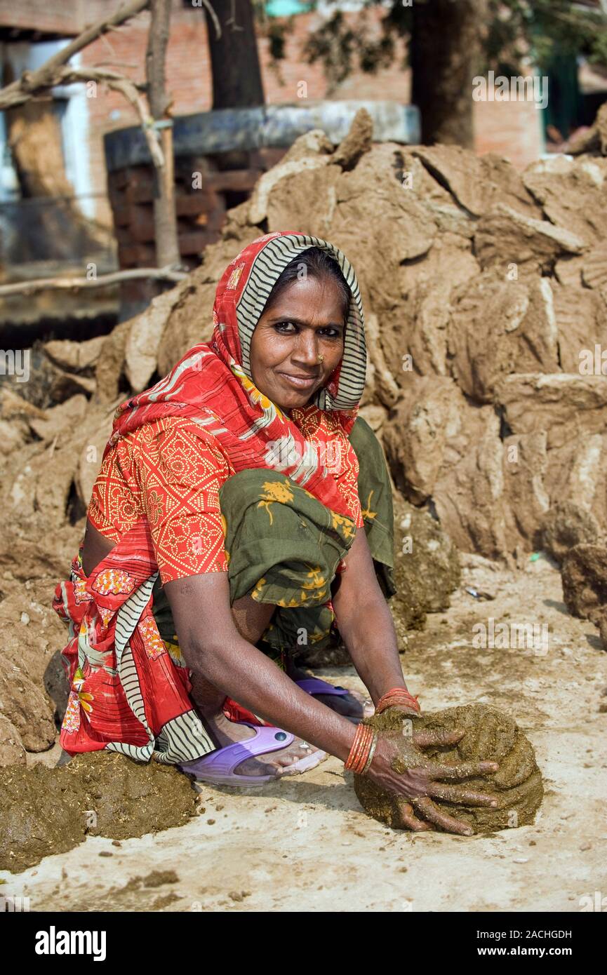 Buffalo dung cooking fuel. Woman shaping buffalo dung into briquettes ...