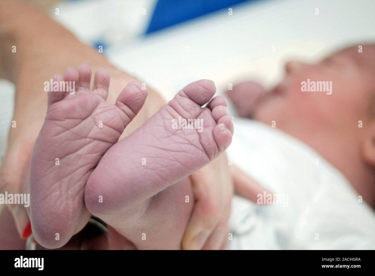 Premature baby. Close-up of the feet of a newborn premature baby ...