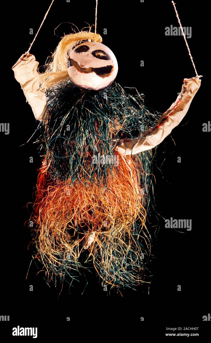 African Punchinello puppet. Contemporary puppet made from a dried ...