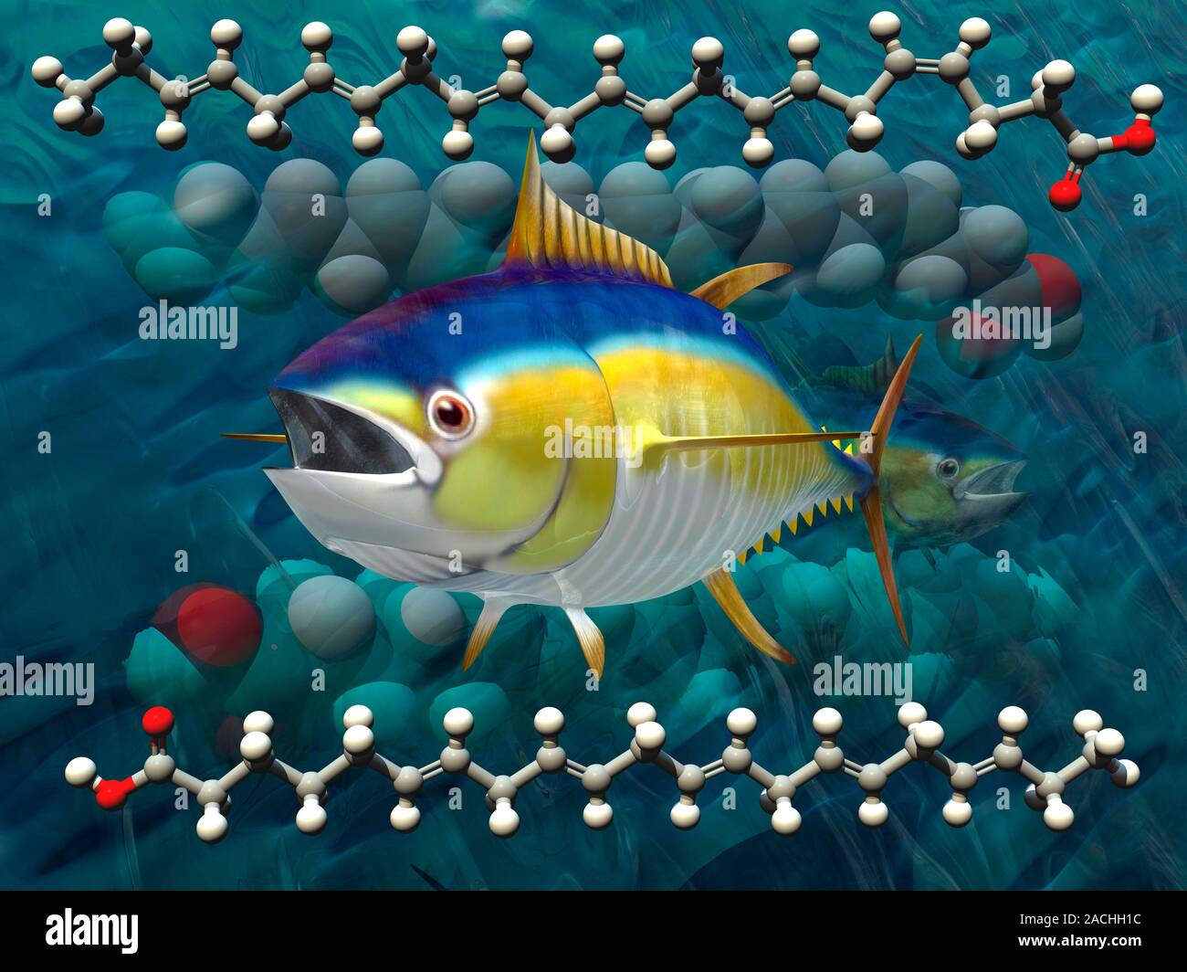 Fish oil fatty acids. Conceptual computer artwork of a fish and ...
