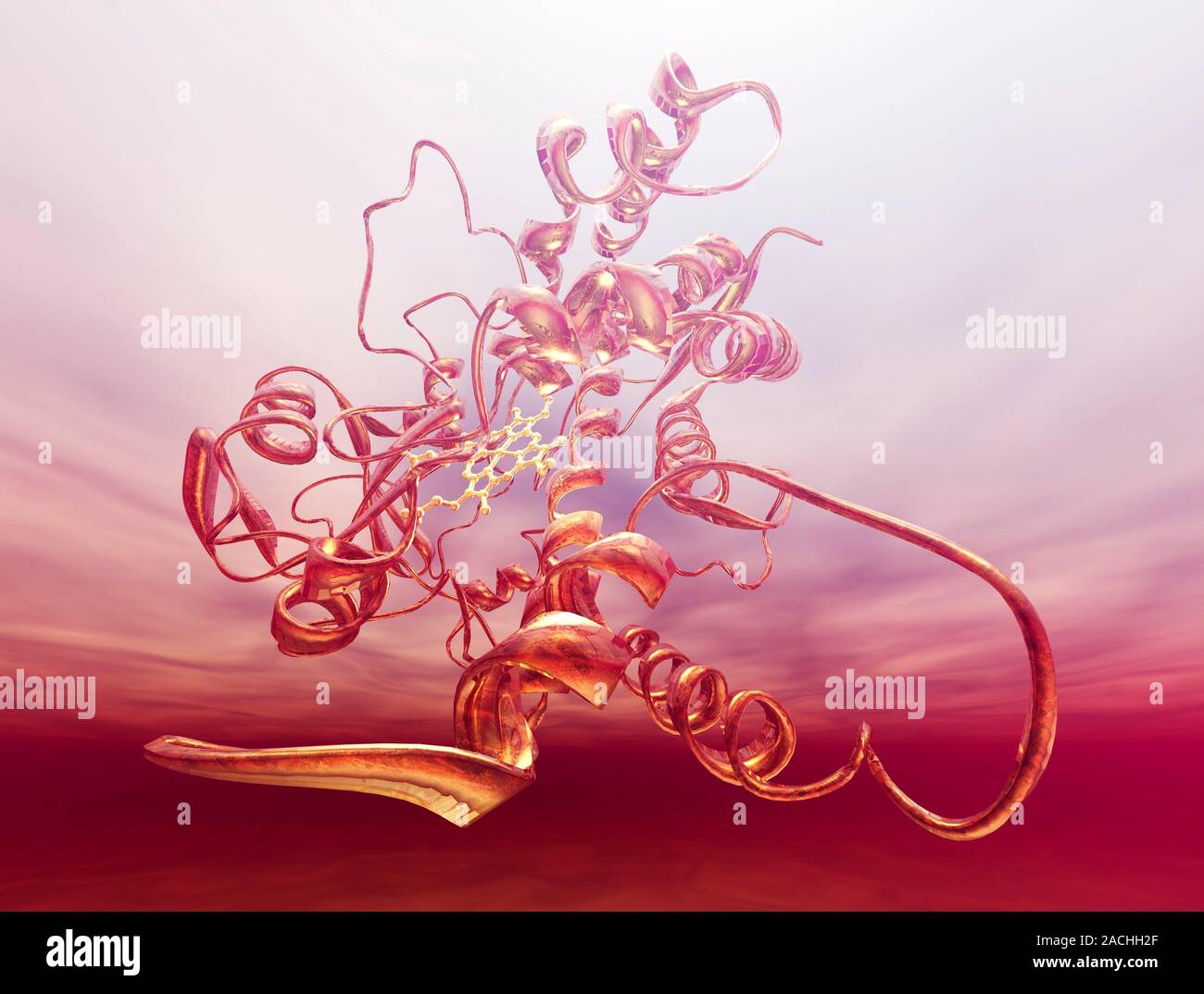 Cytochrome P450 molecule. Computer artwork showing the secondary ...
