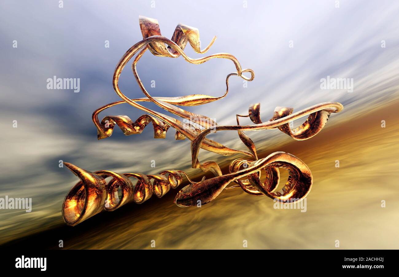 Cytochrome P450 reductase molecule. Computer artwork showing the ...