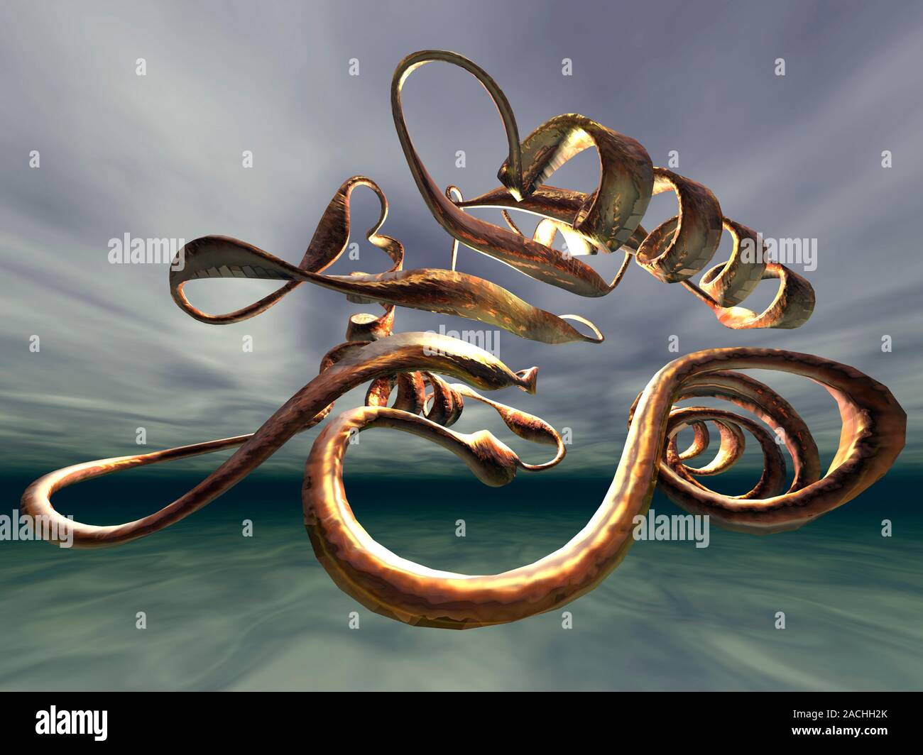 Cytochrome P450 reductase molecule. Computer artwork showing the ...