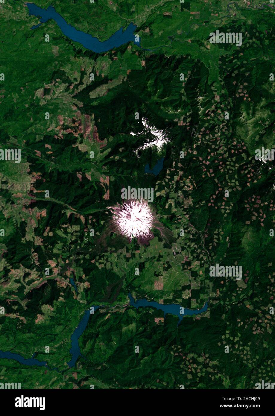 Mount St Helens volcano (white, centre), Landsat satellite image. Mount ...