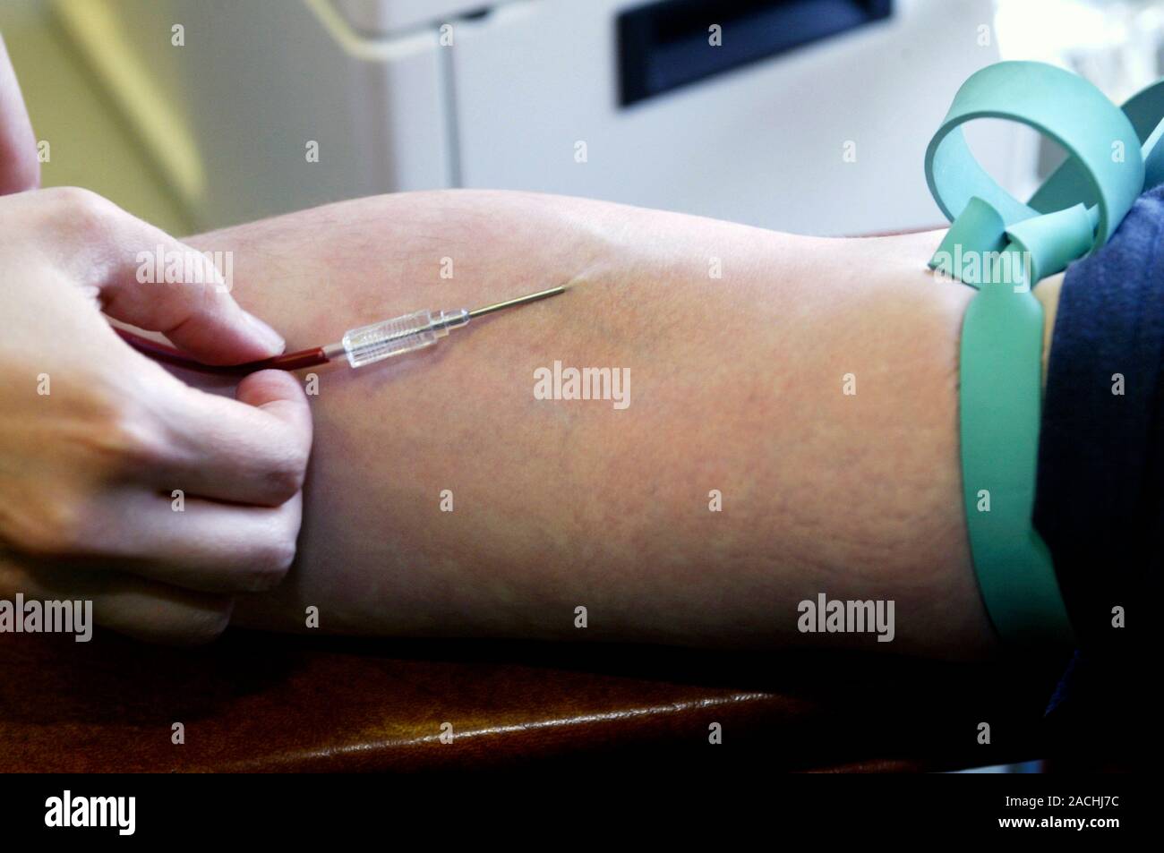 Blood donation. Nurse's hand inserting a needle into an arm vein to ...