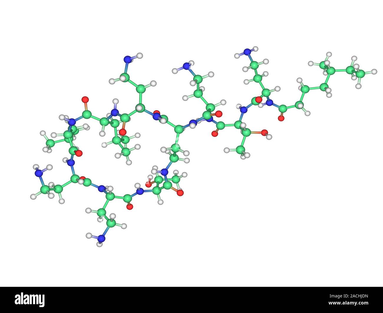 Colistin antibiotic, molecular model. This drug belongs to the ...