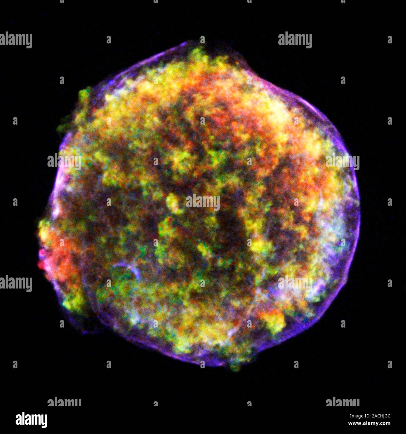 Tycho supernova remnant (SN 1572), X-ray image. This expanding cloud of ...