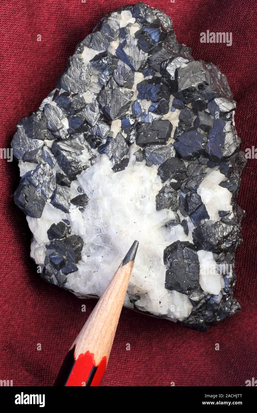 Magnetite in quartz. Sample of quartz (white) containing crystals of ...