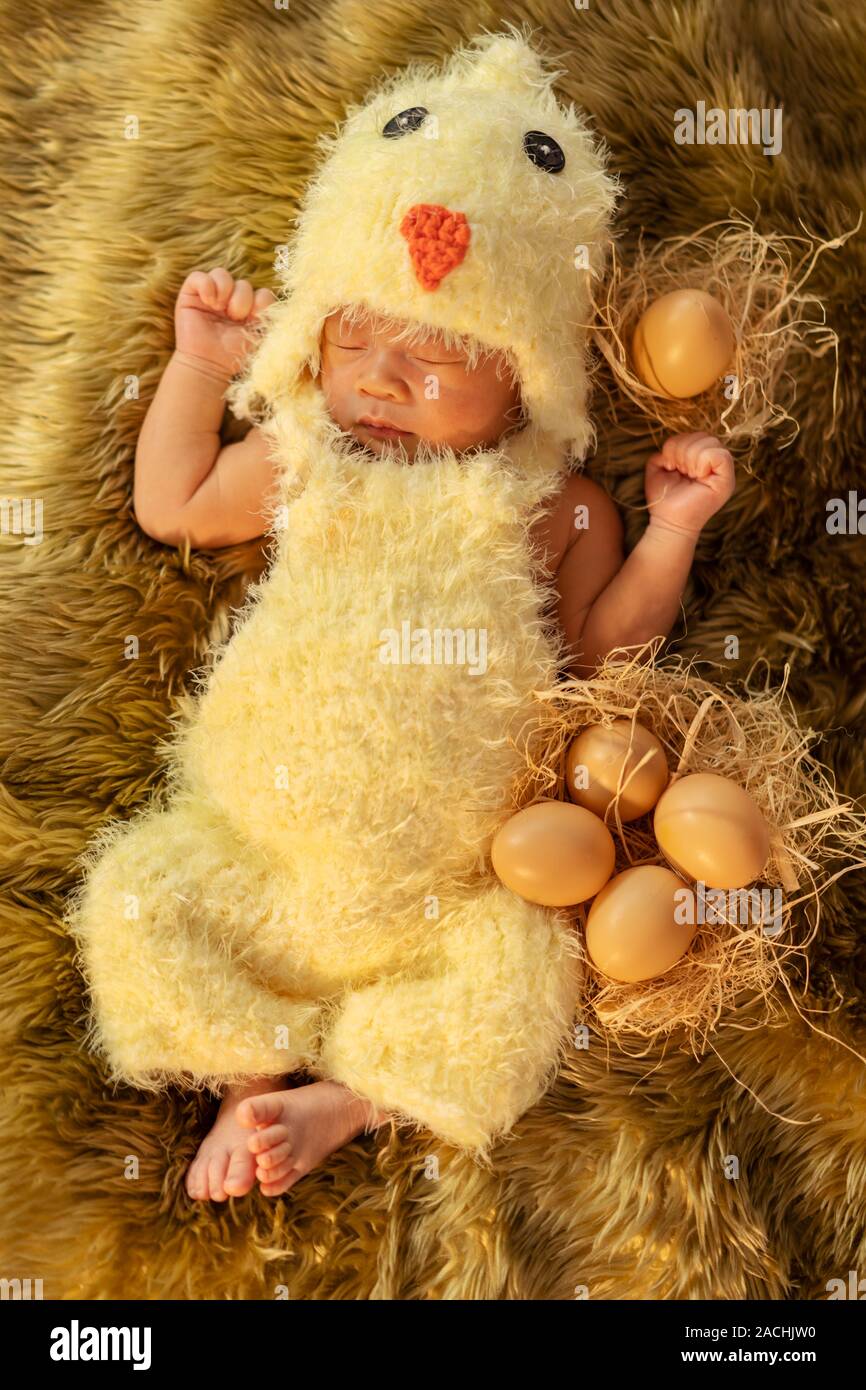 newborn baby in chicken costume sleeping on a fur bed Stock Photo - Alamy