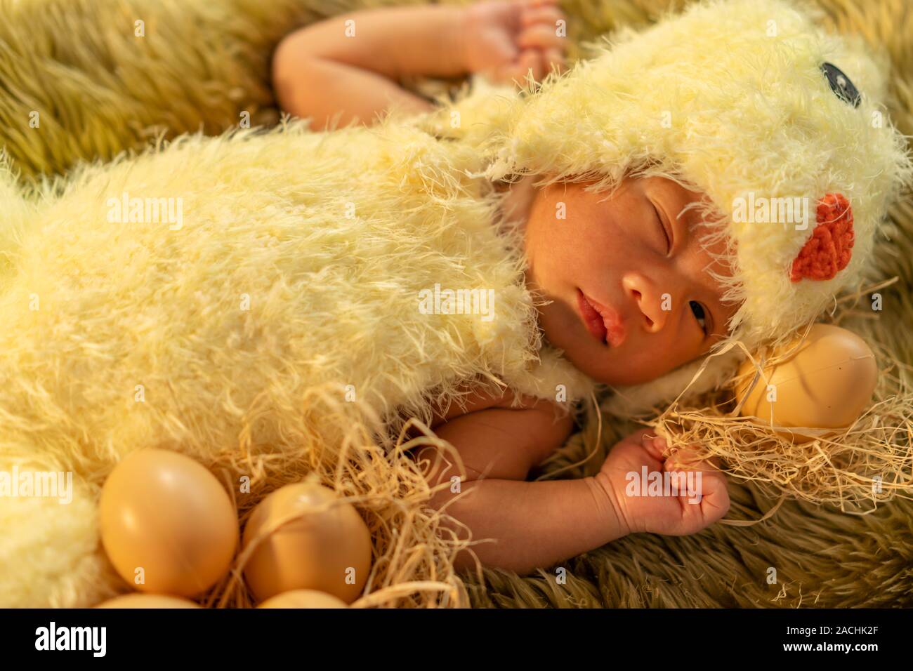 newborn baby in chicken costume on a fur bed Stock Photo - Alamy