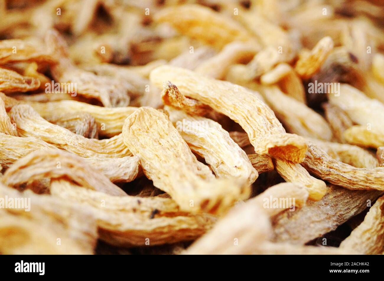 A close-up of the medicinal herb gastrodia elata Stock Photo - Alamy