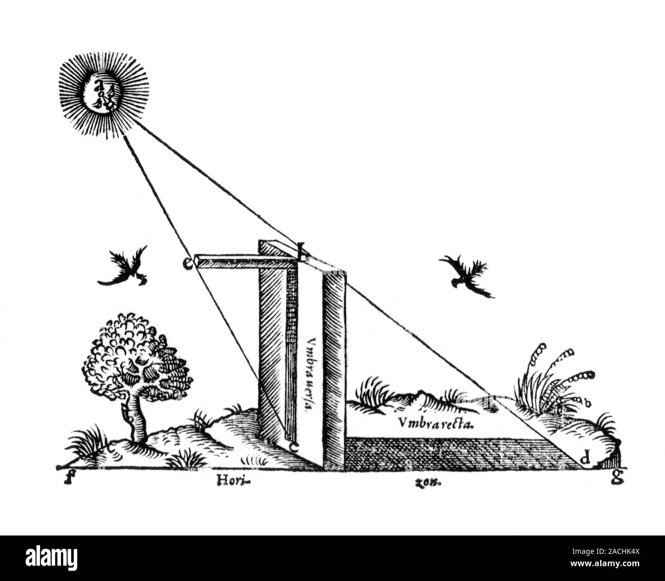 Sundial, 16th century artwork. This shows how a vertical sundial works ...