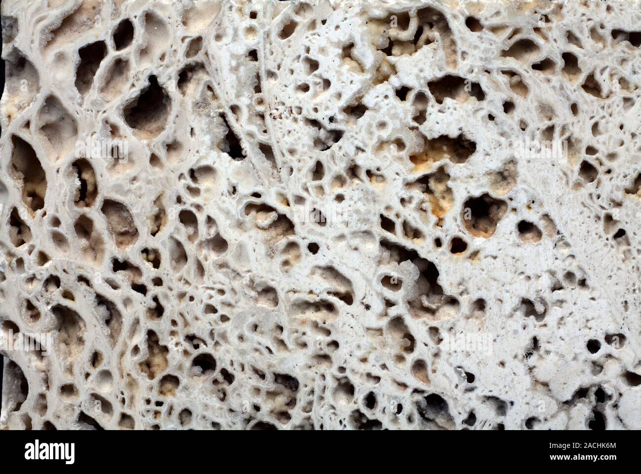 Travertine. Close-up of the surface of a sample of travertine. This ...