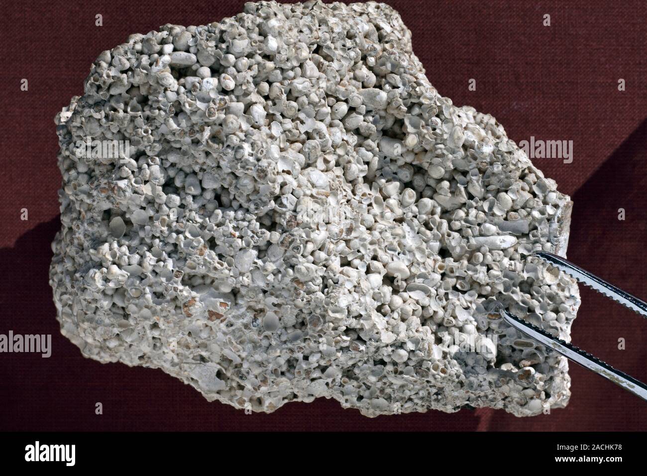 Pisolite. Pisolite is a sedimentary rock made up of pisoids ...