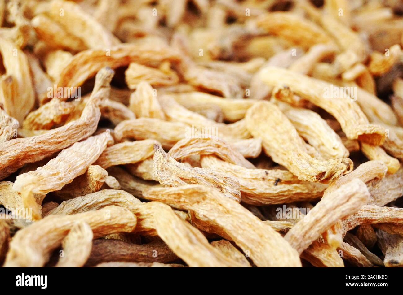 A close-up of the medicinal herb gastrodia elata Stock Photo - Alamy