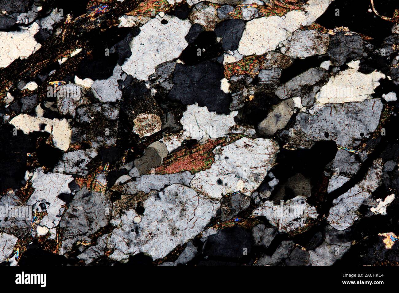 Polarised light micrograph of a thin section of gneiss, a type of ...
