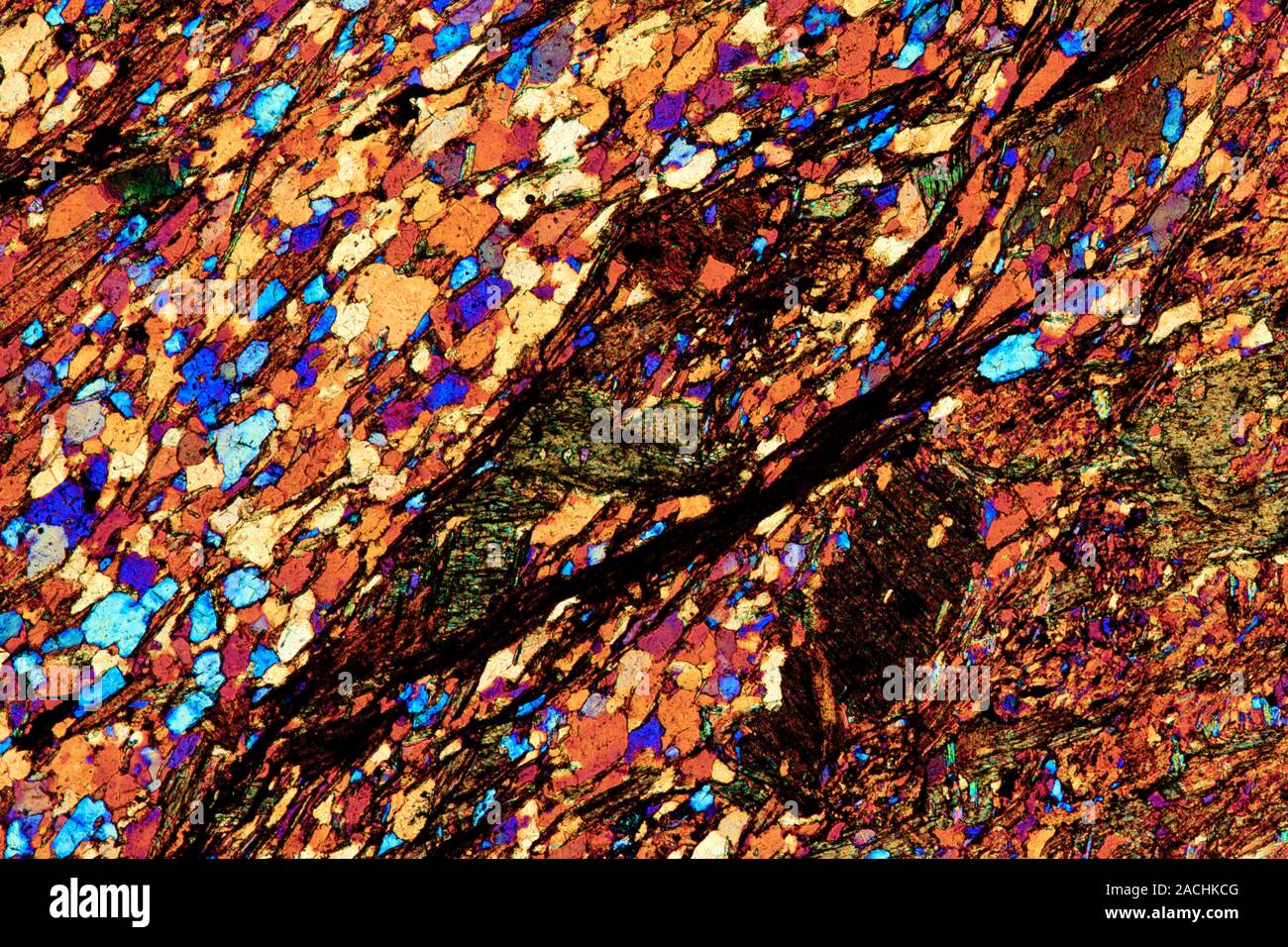 Polarised light micrograph of a thin section of mica schist, a type of ...