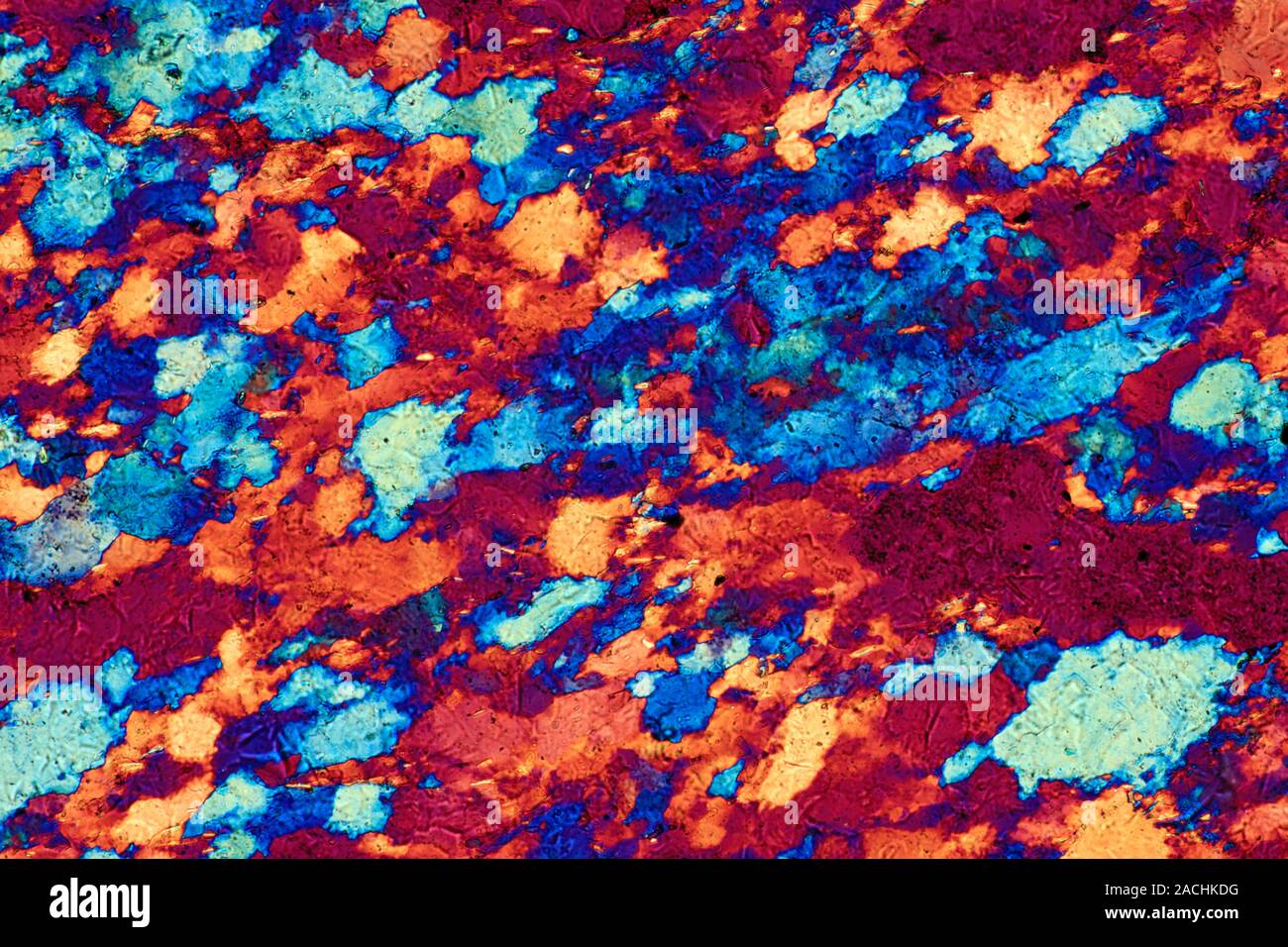 Polarised light micrograph of a thin section of quartzite, a ...