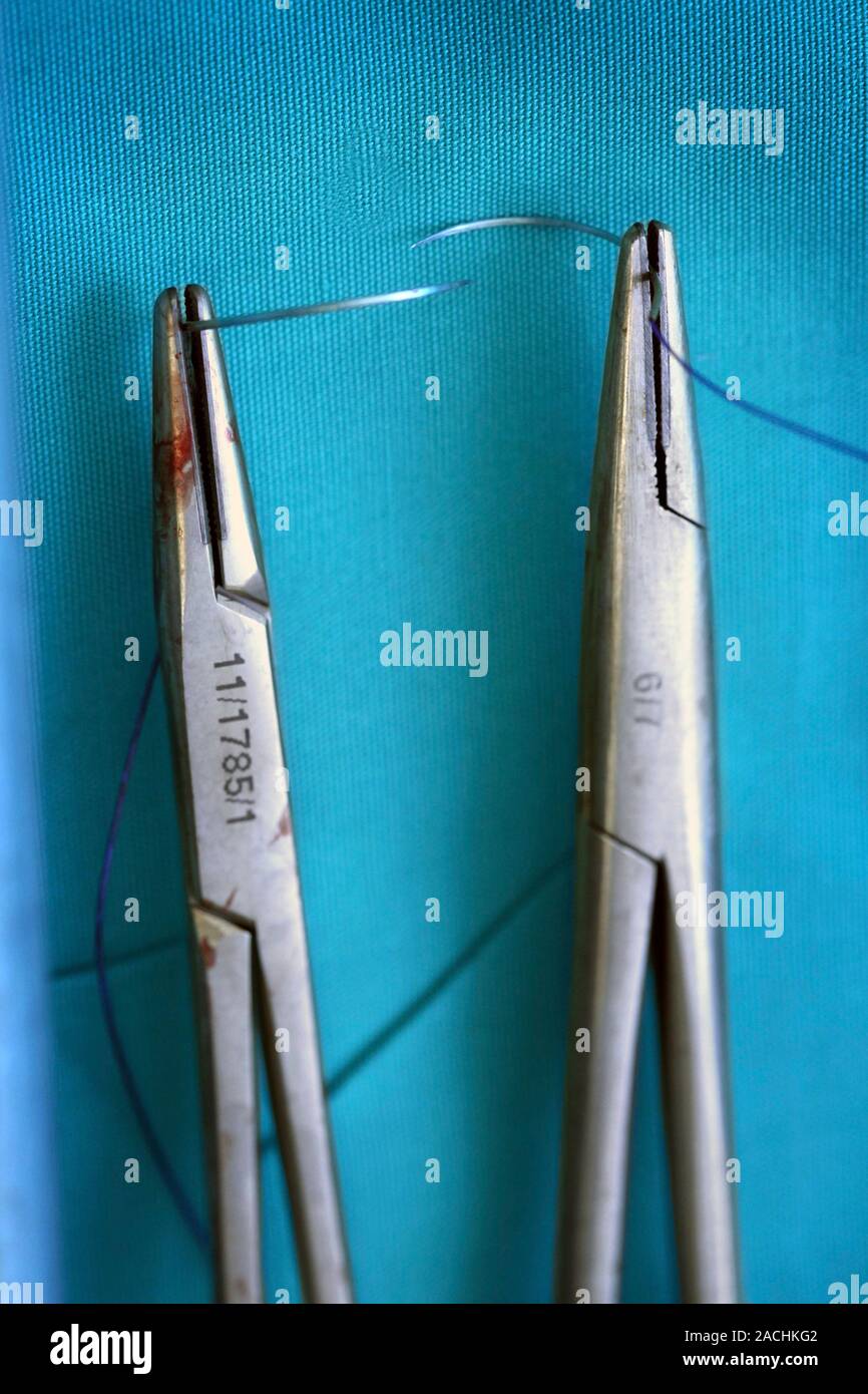 Surgical instruments. Forceps and needles laid out during surgery Stock ...