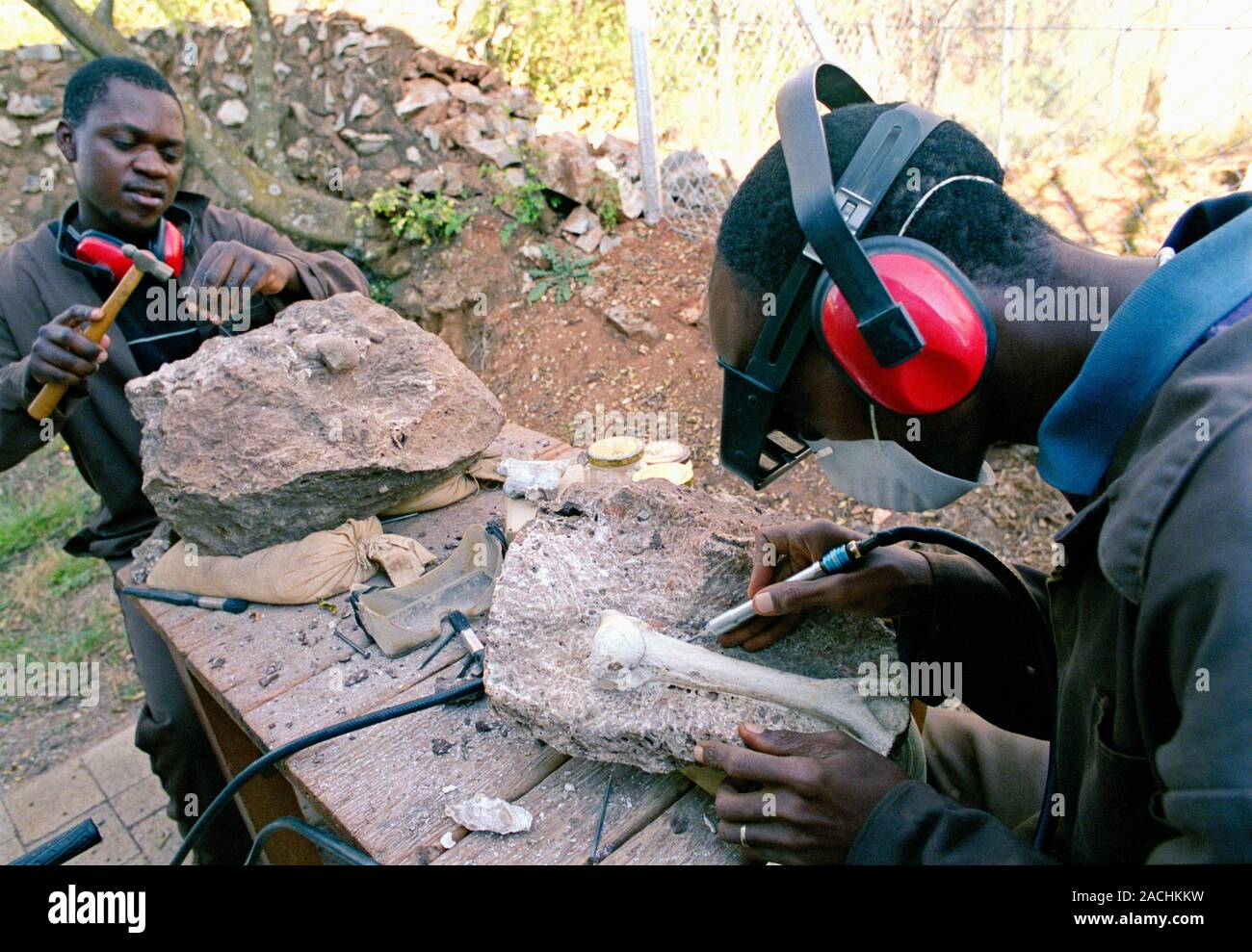 Archaeological excavation. Archaeology assistants carefully removing ... Archaeological excavation. Archaeology assistants carefully removing ...