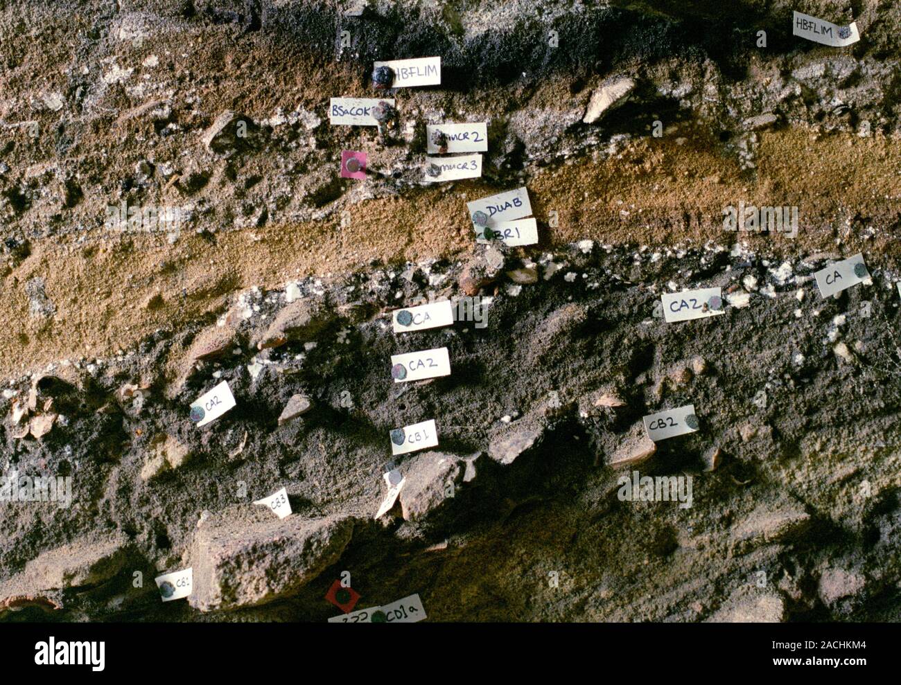 Archaeological excavation. Close-up of the western wall of excavations ...