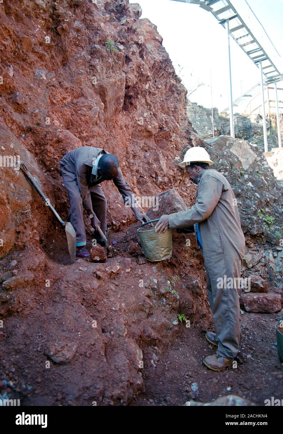 Archaeological excavation. Workers quarrying eroded breccia (rock made ...