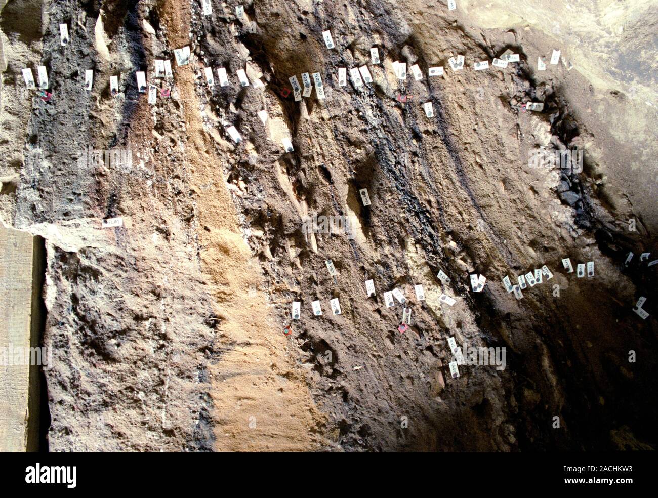 Archaeological excavation. Close-up of the western wall of excavations ...