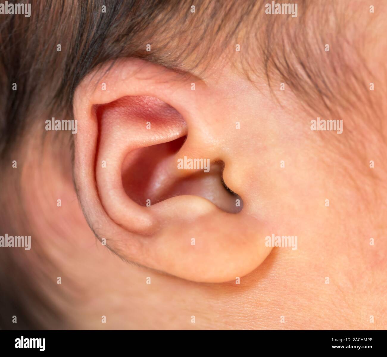 Chinese newborn baby hi-res stock photography and images - Alamy