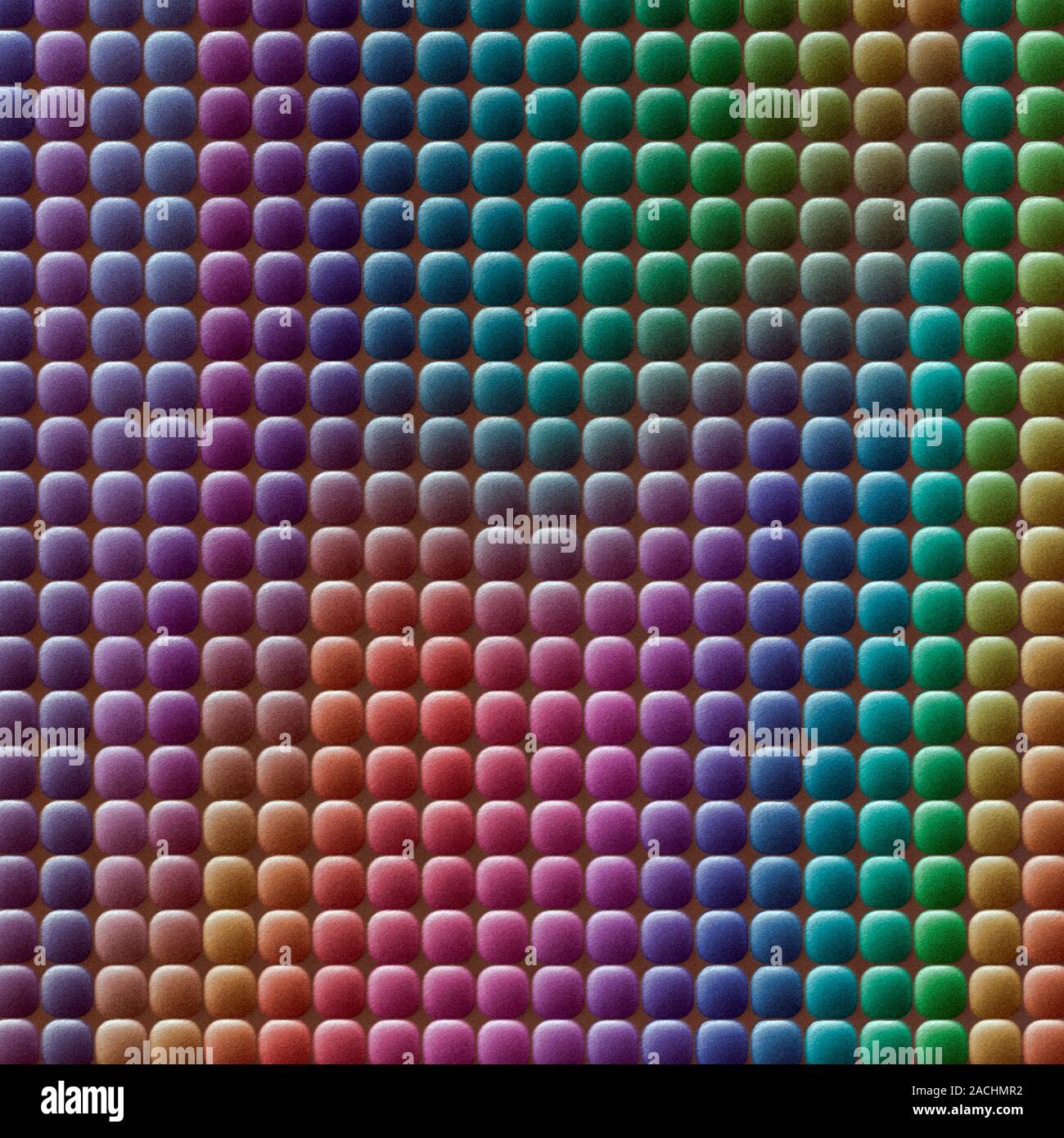 Digital camera CCD sensor pixels, coloured scanning electron micrograph ...