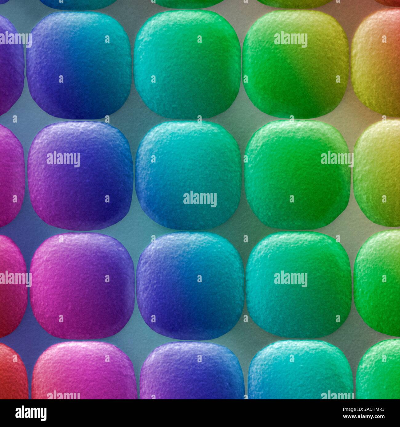 Digital camera CCD sensor pixels, coloured scanning electron micrograph ...