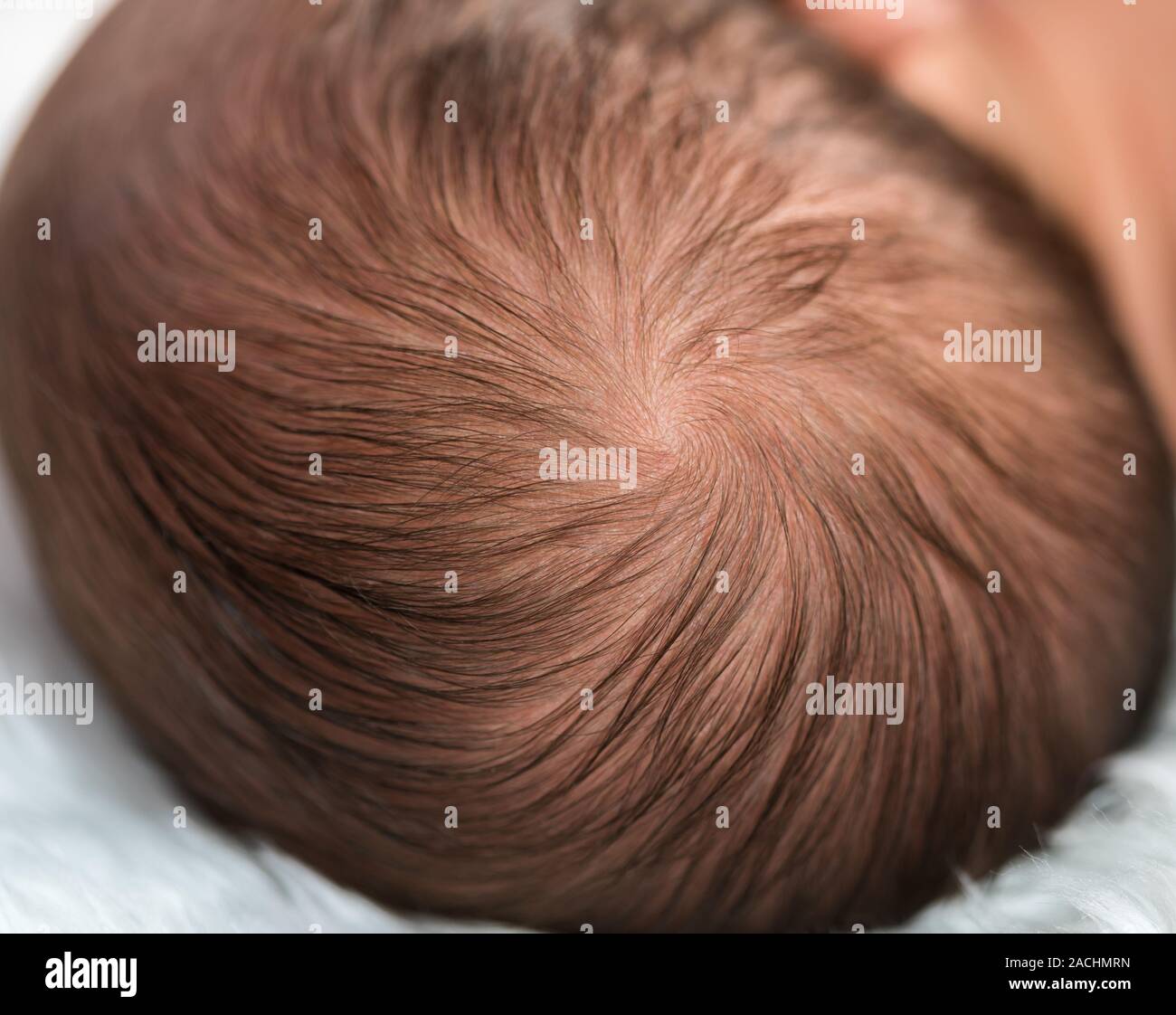 close up of head of newborn baby Stock Photo - Alamy