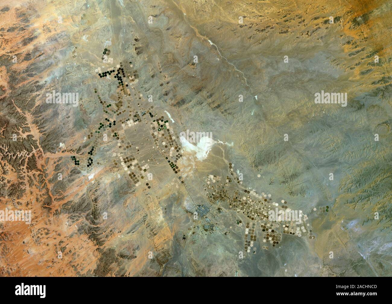 Desert agriculture, 1990, satellite image. The dark green areas seen in ...