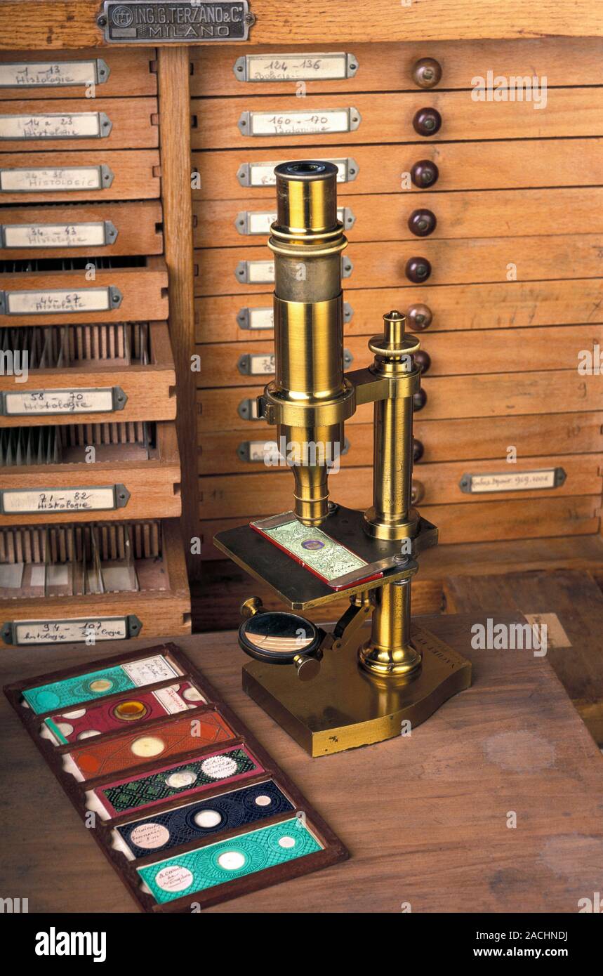 Antique light microscope with a selection of slides Stock Photo - Alamy