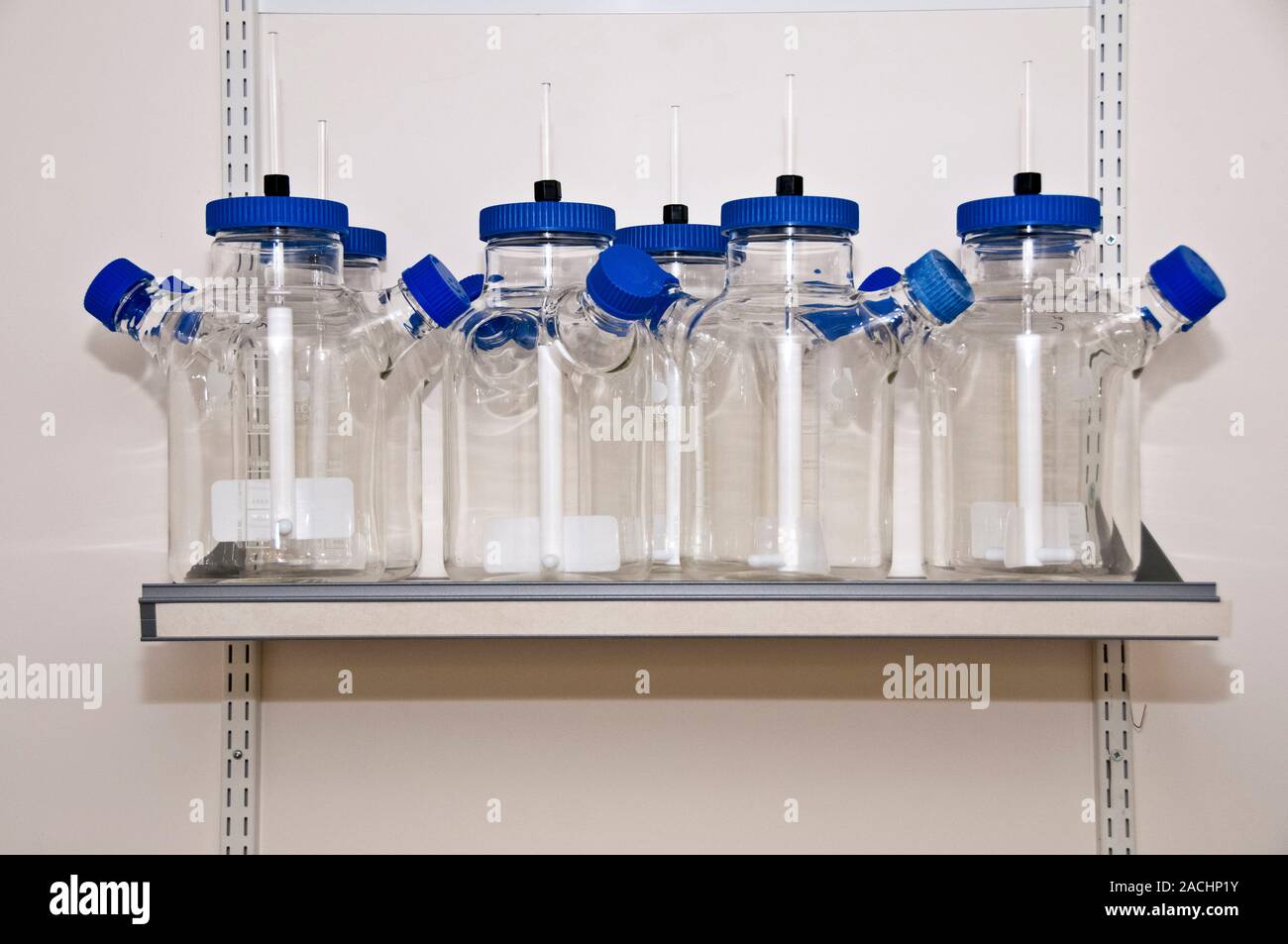 Glassware. Microbiology laboratory shelf with sterile glass containers ...